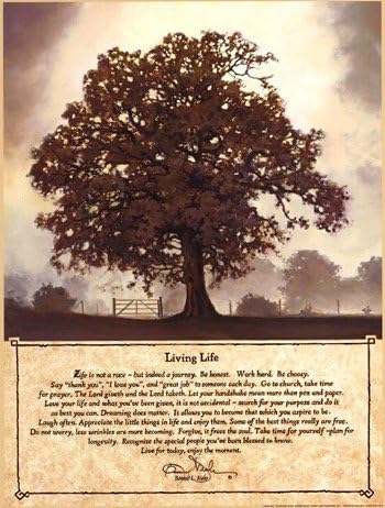 Amazon.com: Picture Peddler Living Life by Bonnie Mohr Inspirational ...