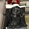 Amazon.com: HommomH Black Lab Blanket, Gorgeous Labrador Dog Print ...