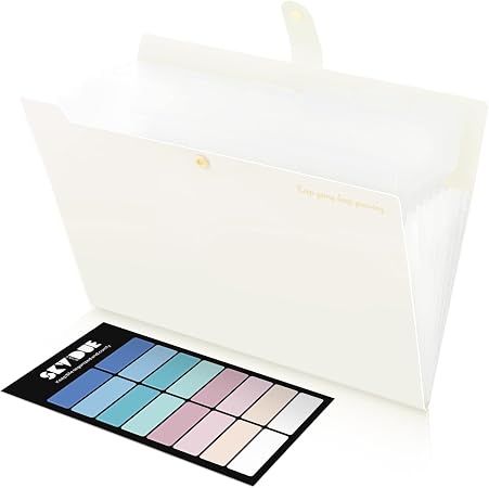 Amazon.com : SKYDUE Accordion File Organizer, Expanding File Folder ...