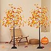 Amazon.com: 2 Pack 4FT Artificial Lighted Maple Tree, Fall Decorations ...