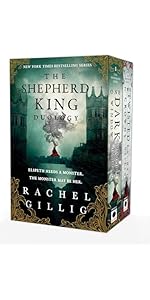 The Knight and the Moth (The Stonewater Kingdom, 1): Gillig, Rachel ...