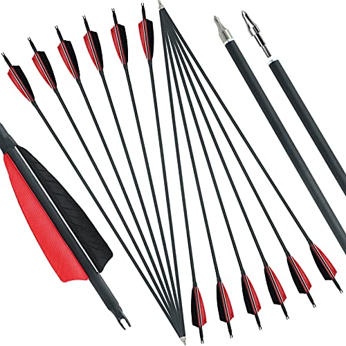 31 Inch Carbon Archery Arrows Spine 600 Targeting Hunting Arrows with 4 ...