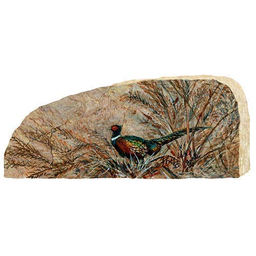 Amazon.com: Pheasant - Unique Artwork for Home and Office - Prints on ...
