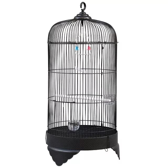 Amazon.in Bestsellers: The most popular items in Birdcage Accessories