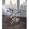 Amazon.com - Acme Cyrus Rectangular Glass Top Serving Cart with 2 ...