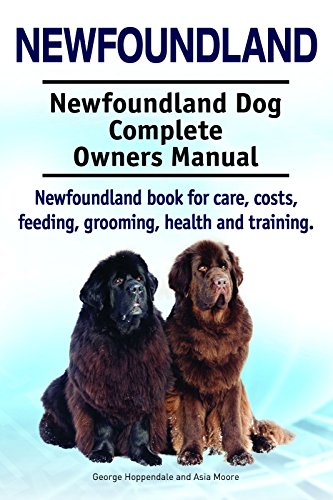 Newfoundland Size Chart: How Big Do Newfoundlands Get? | atelier-yuwa ...