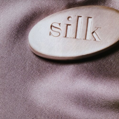 Amazon.com: Silk : Silk: Digital Music