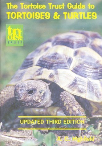Amazon | The Tortoise Trust Guide to Tortoises and Turtles | Highfield ...
