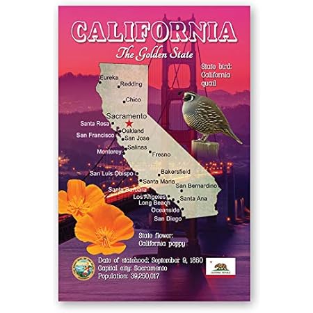 Amazon.com : CALIFORNIA MAP postcard set of 20 identical postcards. CA ...