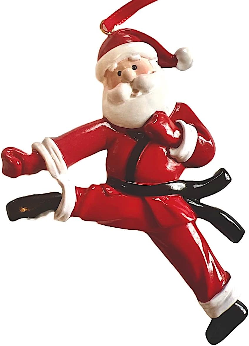 Amazon.com: Santa Claus Karate Christmas Tree Ornament Cute Funny Tai ...