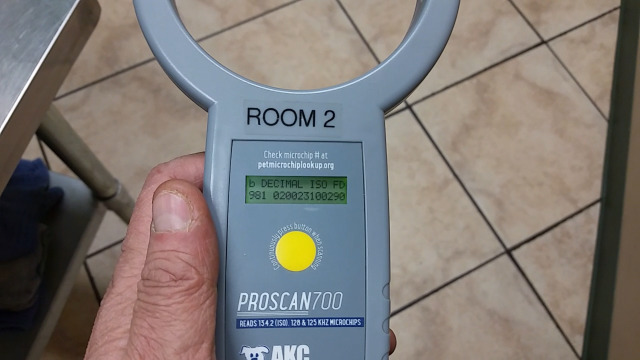 Watch Proscan 700 Pet Chip Reader on Amazon Live