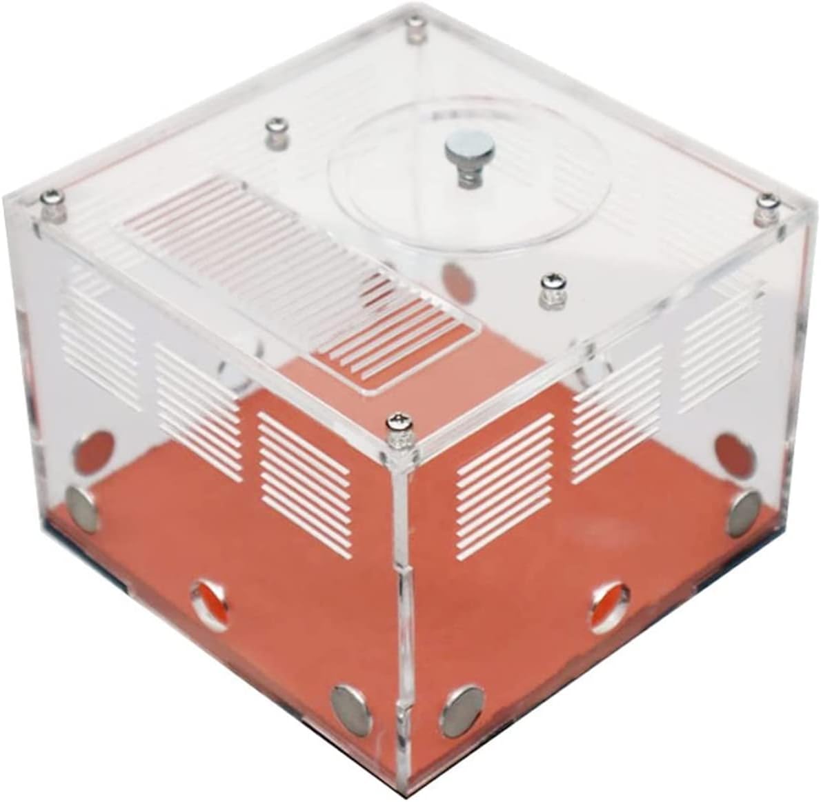 Your Heart Acrylic Ant Farm with Water Tower Unlimited Expansion Ant ...