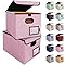 Amazon.com: BALEINE File Organizer Box with Lid, Collapsible File ...