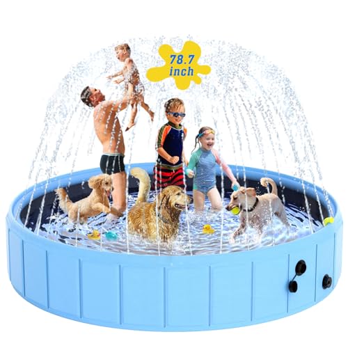 10 Best Dog Swimming Pools | 2024