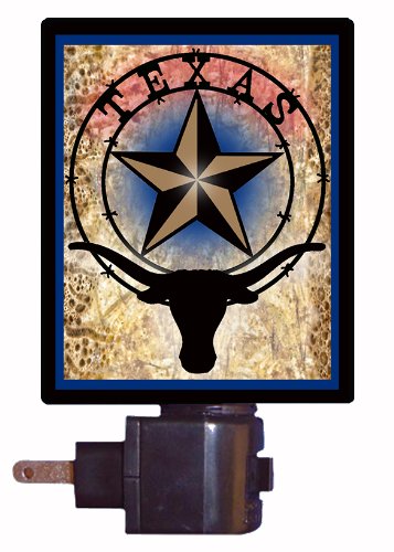 Texas Night Light, Texas Star and Longhorn, Destinations - Amazon.com