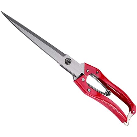 Amazon.com: Manual Wool Shearing Shear Stainless Steel Trimming Scissor ...
