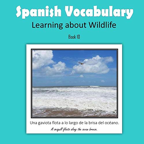 Amazon.com: Spanish Vocabulary: Learning about Wildlife (Spanish ...