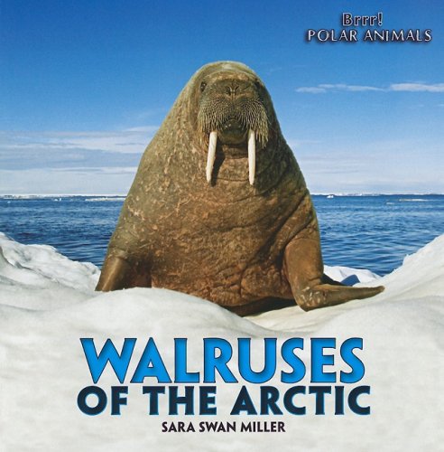 Walruses of the Arctic (Brrr! Polar Animals): Miller, Sara Swan ...