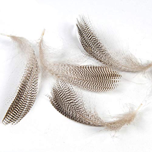 Best Duck Feathers for Fly Tying: Top Materials for Realistic Dry Flies ...