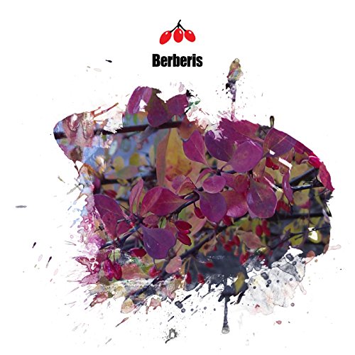 My Ruin EP von Valpy auf Amazon Music Unlimited