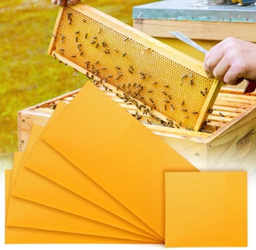 Amazon.com: UCandy 40Pcs Beeswax Sheets, Natural Wax Foundation for Bee ...