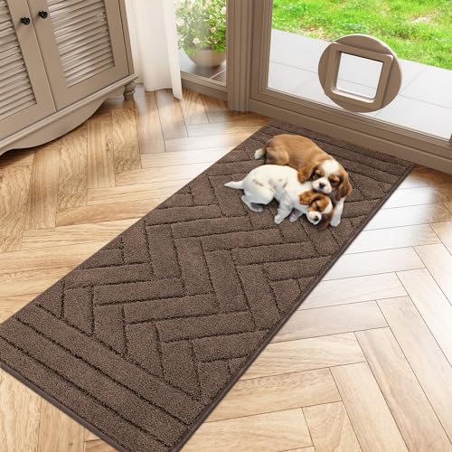 10 Best Mud Rugs For Dogs