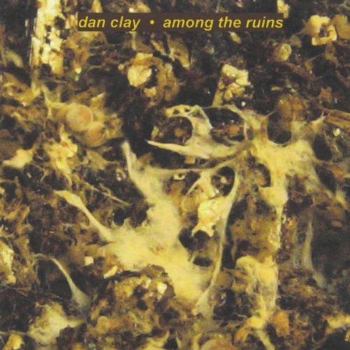 Amazon.co.jp: among the ruins : Dan Clay: デジタルミュージック