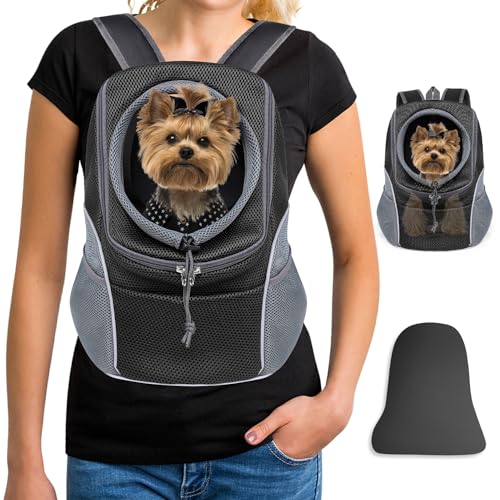 10 Best Motorcycle Dog Carrier