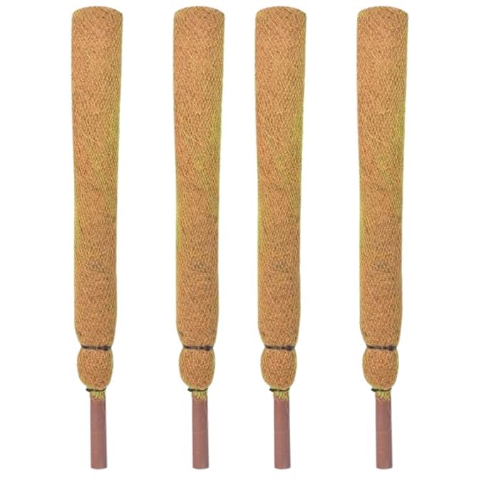 Balaji Creator!! Moss Sticks for Plants, Set of 4, 3FT-(90 cm)|Moss ...