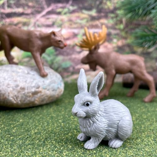 Buy Safari Ltd. Nature TOOB - 12 Mini Figurines with Rabbit, Beaver ...