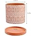 Amazon.com: Frcctre 2 Pack Terracotta Pots for Plants, 5 Inch Succulent ...