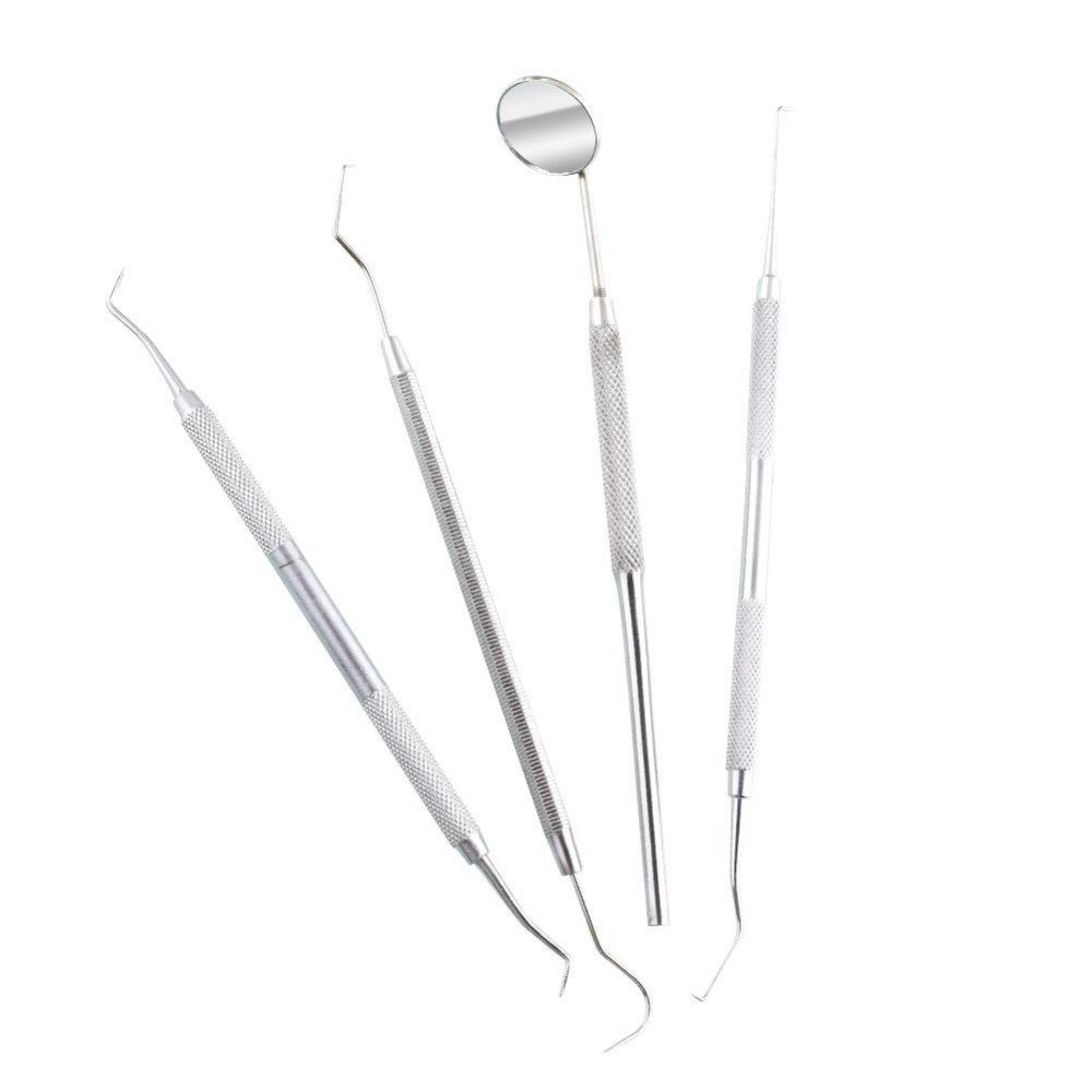 Buy Generic Professional Stainless Steel Dental Inspection Picks Mirror ...