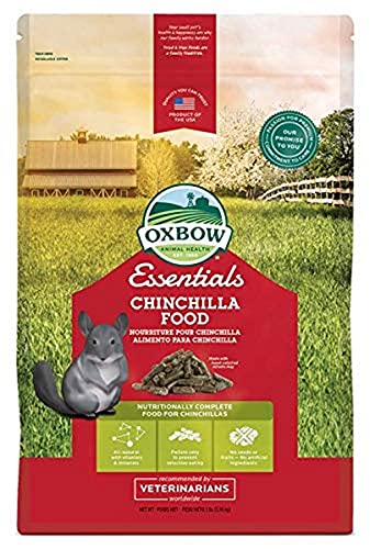Chinchilla Ernährung – Die 16 besten Produkte im Vergleich ...