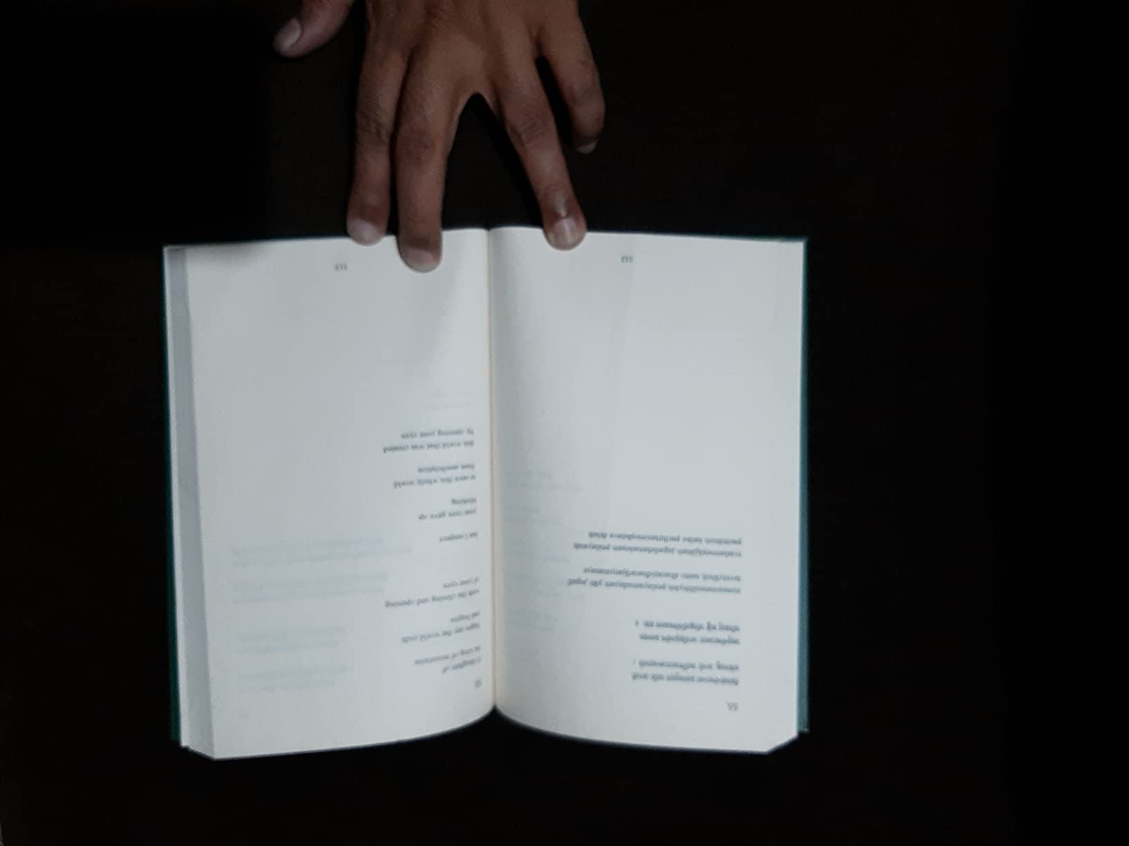 Saundarya Lahari : Wave of Beauty : Rao, Mani: Amazon.in: Books