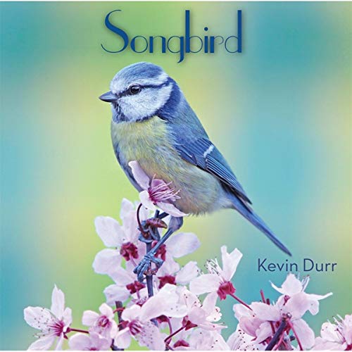 Kevin Durr - Songbird (1 CD) - : Amazon.de: Musik-CDs & Vinyl