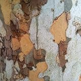 【発売日：2013年02月07日】・製造元:Abstracted Music