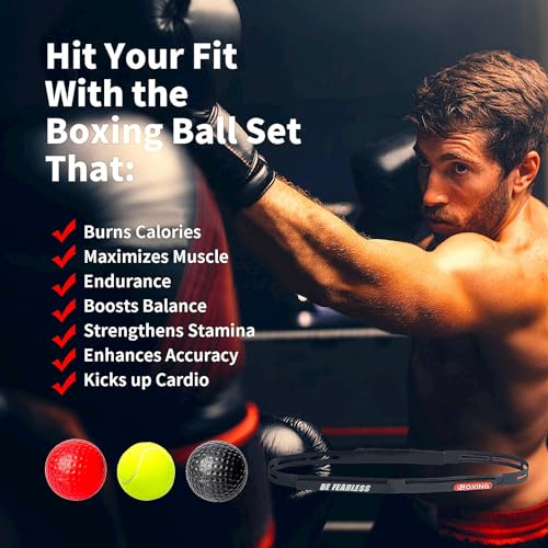 Snapklik.com : Boxing Reflex Ball Set