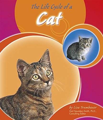 The Life Cycle of a Cat: Trumbauer, Lisa, Saunders-Smith, Gail ...