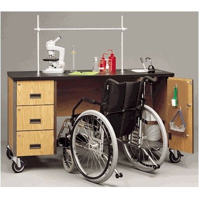 Buy Wheelchair Accessible Deluxe Mobile Science Lab Station with Sink ...