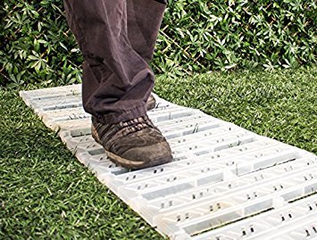 Primrose Single Width , Clear : Instant Garden Roll Out Path Clear ...