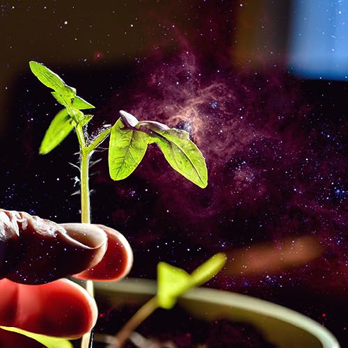 Play Greenhouse Groove by Plant Assistant on Amazon Music