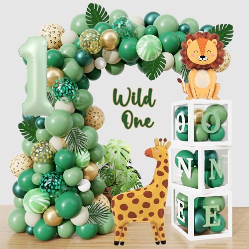 How to Plan a Wild One First Birthday Theme Party