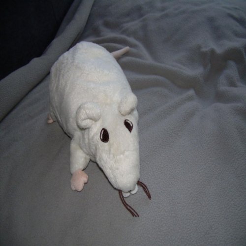 Amazon Music - Meskens GeertのPlastic - Amazon.co.jp