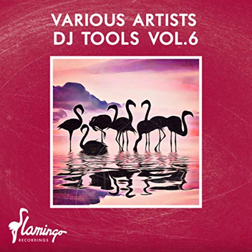 Amazon.com: DJ Tools Vol.6 [Explicit] : Various artists: Digital Music
