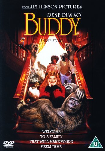 Amazon.com: Buddy [DVD] : Movies & TV