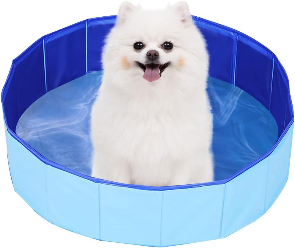 Amazon.com: Foldable Dog Pet Pool Small Portable PVC Swimming Pool 24 x ...