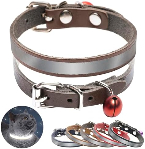 Pet Supplies : Filbert Leather Cat Collar, Reflective Cat Collar ...