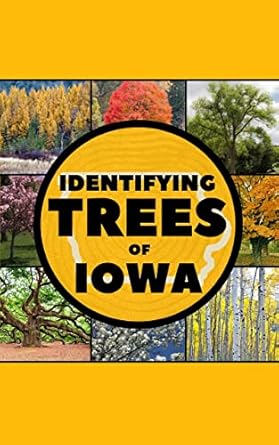 Amazon.com: Identifying Trees of Iowa: A Simple Identification Guide ...