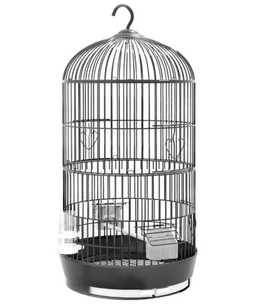 Mexican Wrought Iron Bird Cage Bird Cage Birdcage Round Bird Cage With
