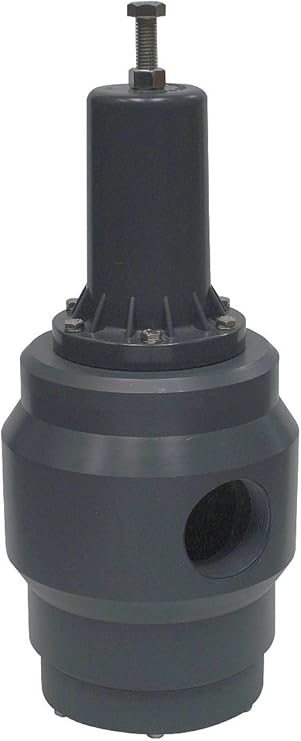 Amazon.com: Plast-O-Matic Valves - PRHM200V-PV - PLAST-O-MATIC Pressure ...